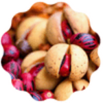 Winter Words Starting With A to Z -Winter Vocabulary List - EngDic