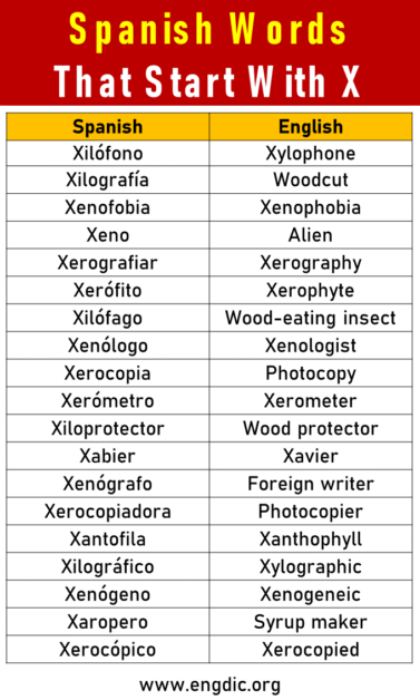 50 Spanish Words That Start With X - EngDic