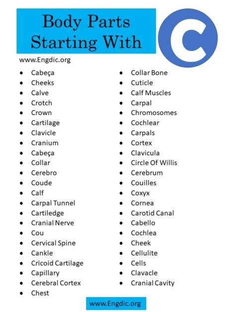 50+ Body Parts That Start With C - EngDic
