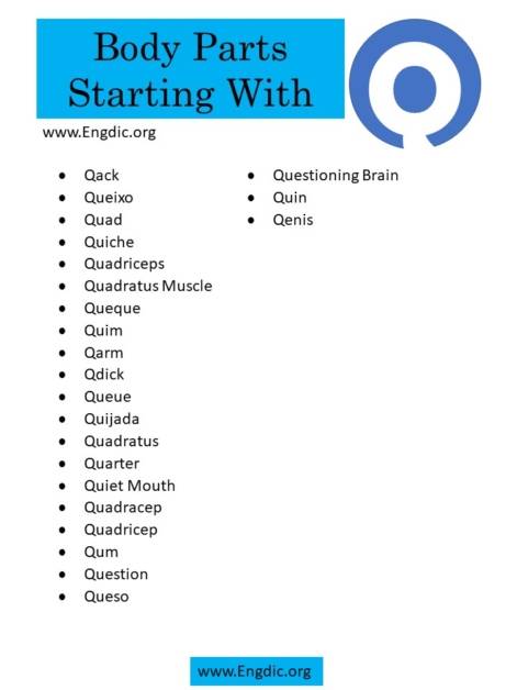 8 Body Parts That Start With Q - EngDic