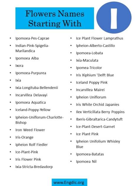 400 Flowers That Start With I (All Colors Flowers) - EngDic