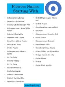 80 Flowers That Start With O (All Colors Flowers) - EngDic