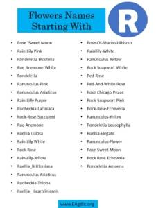 50 Flowers That Start With R - EngDic