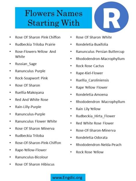 50 Flowers That Start With R - EngDic