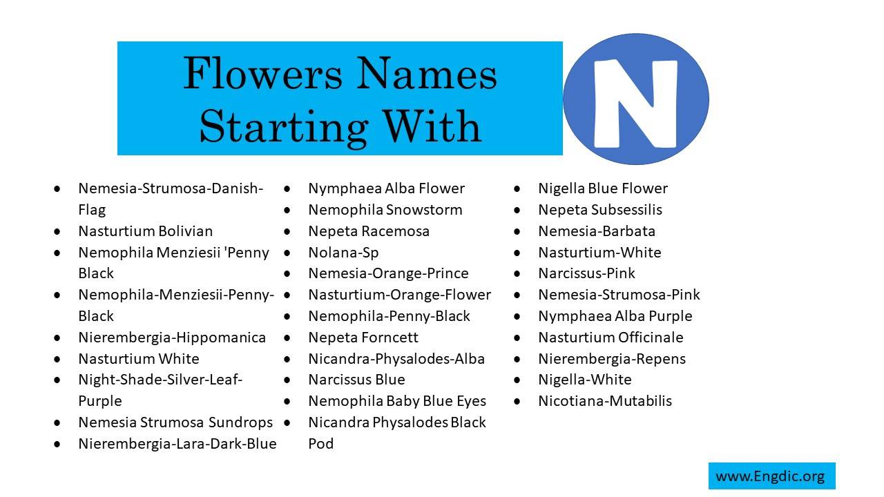 80 Flowers That Start With N (All Colors Flowers) - EngDic