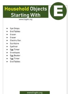 List Of Objects That Start With E - EngDic
