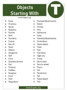 List Of Objects That Start With T - EngDic