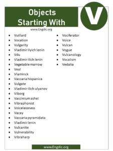 List Of Objects That Start With V - EngDic
