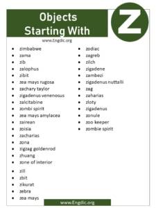 List Of Objects That Start With Z - EngDic
