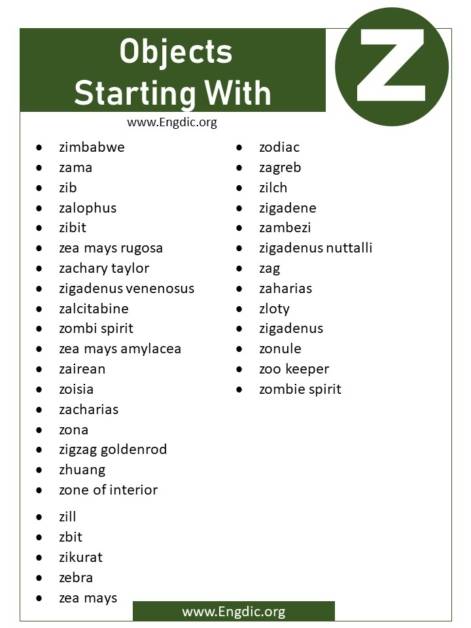 List Of Objects That Start With Z - EngDic