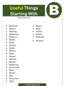 List Of Objects That Start With B - EngDic