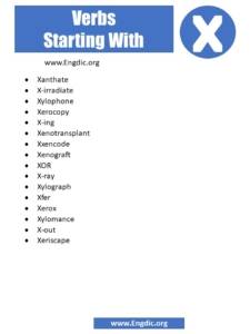 25 Verbs Starting with X (Complete List) - EngDic
