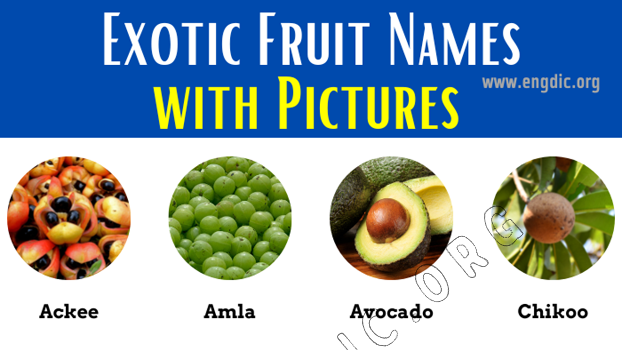 Exotic Fruit Names and Pictures | Exotic Fruits List - EngDic