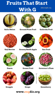 32 Fruits that Start With G (Pictures and Properties) - EngDic