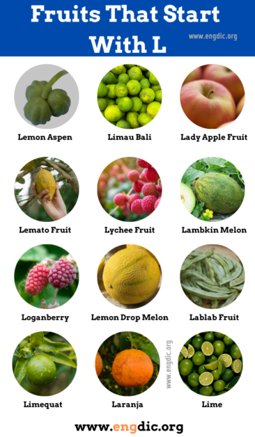 38 Fruits That Start With L (Pictures and Properties) - EngDic