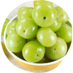 32 Fruits that Start With G (Pictures and Properties) - EngDic