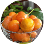 22 Fruits That Start With I (Pictures and Properties) - EngDic