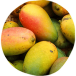 22 Fruits That Start With I (Pictures and Properties) - EngDic