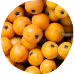 38 Fruits That Start With L (Pictures and Properties) - EngDic