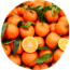 56 Fruits That Start With M (Pictures and Properties) - EngDic