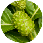 42 Best Green Fruits Names List with Pictures & Benefits - EngDic