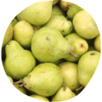 46 Fruits That Start With P (Pictures and Properties) - EngDic