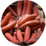 Exotic Fruit Names and Pictures | Exotic Fruits List - EngDic