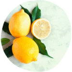 16 Fruits That Start With V (Properties and Pictures) - EngDic