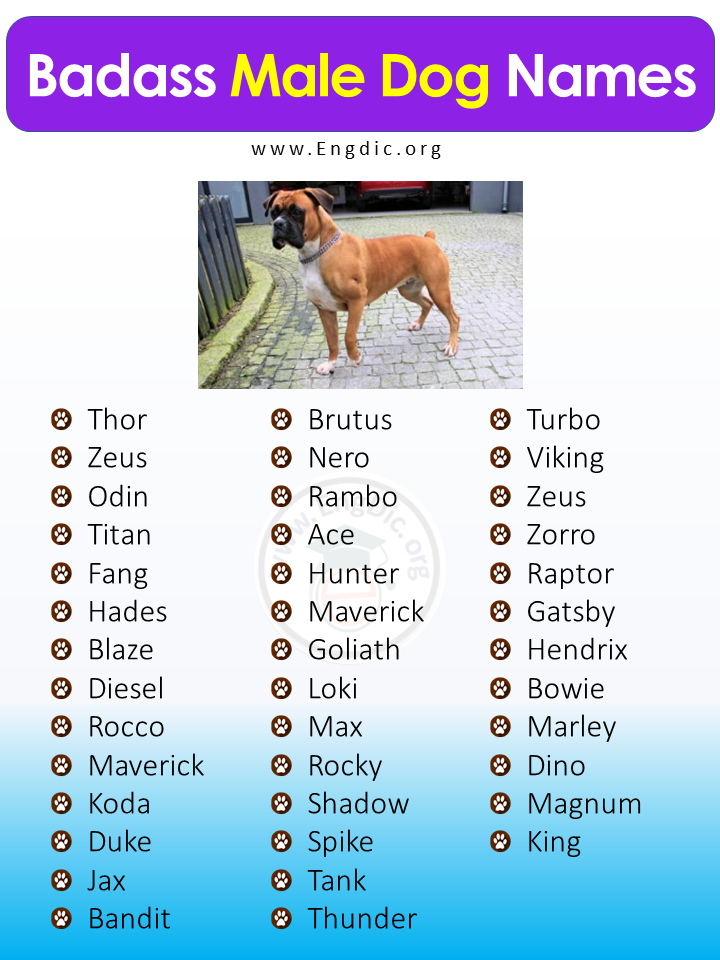200 Badass Dog Names Male Female Gangster Unique EngDic 200 Badass Dog Names Male Female Gangster Unique EngDic