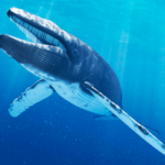 20+ Big Animals Name With Pictures and Fun Facts - EngDic