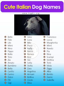 300+ Best Italian Dog Names (Male, Female) - EngDic