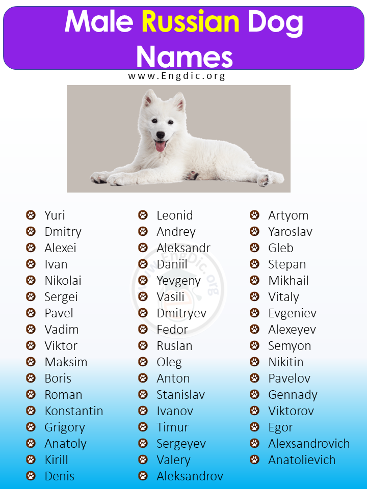 300 Most Popular Russian Dog Names Male Female EngDic