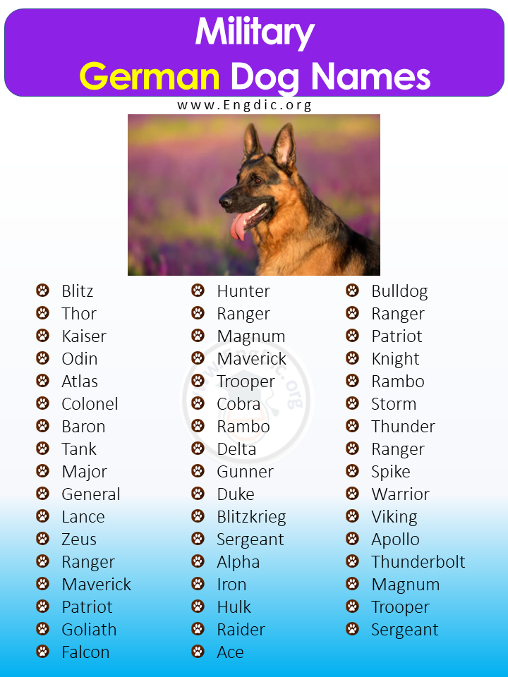 500 Popular German Dog Names Pups Male Female EngDic