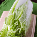 List of Vegetables That Start With N - EngDic