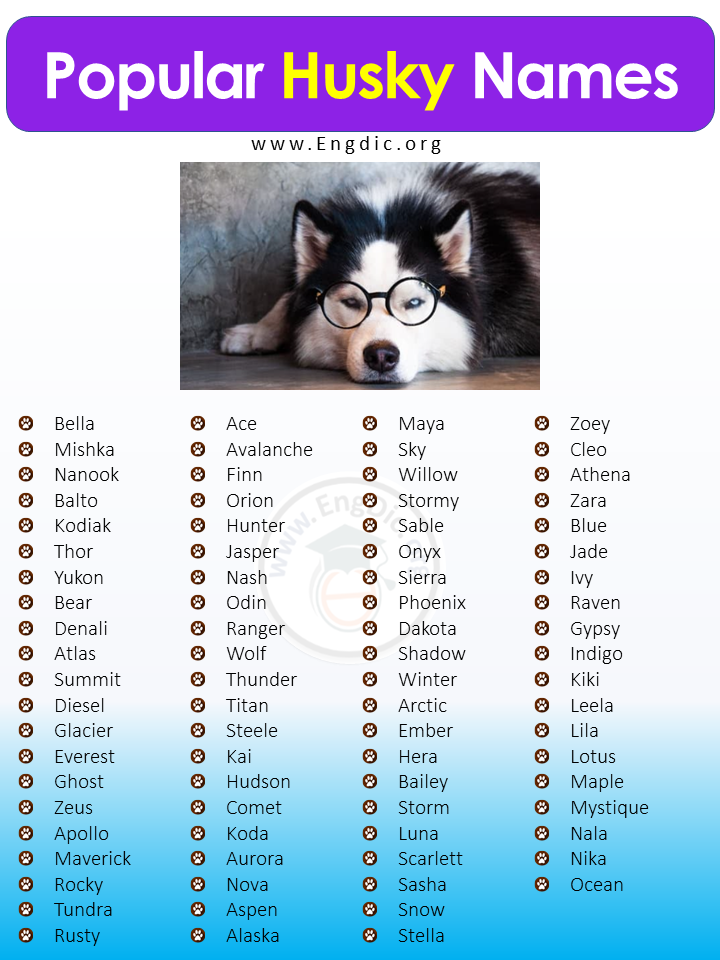 300 Best Husky Names Male Female Unique Exotic EngDic