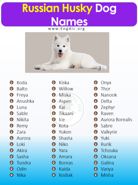 300+ Most Popular Russian Dog Names (Male, Female) - EngDic