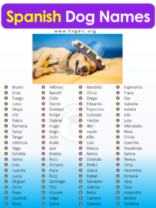 200+ Most Popular Spanish Dog Names (Male, Female) - EngDic
