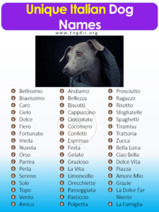 300+ Best Italian Dog Names (Male, Female) - EngDic