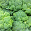 4 Vegetables That Start With X - EngDic