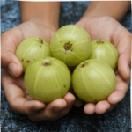 Top 100 Fruits Name with Pictures (Fruit Names List) - EngDic
