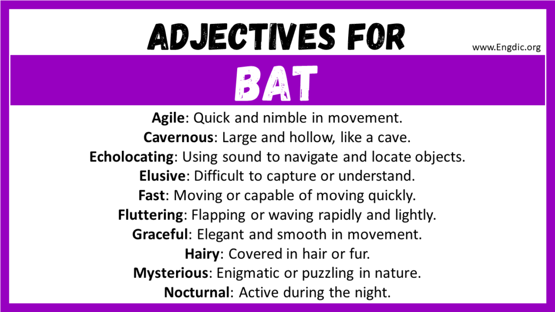 20+ Best Words to Describe Bat, Adjectives for Bat - EngDic
