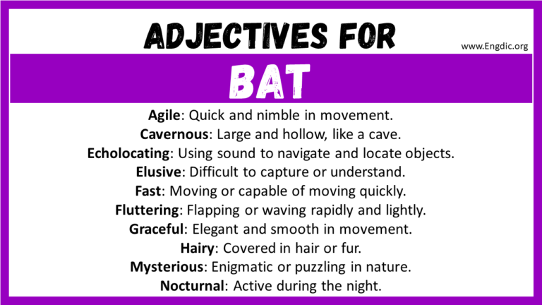 20+ Best Words to Describe Bat, Adjectives for Bat - EngDic