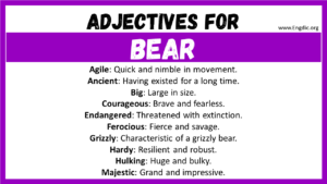 20+ Best Words to Describe Bear, Adjectives for Bear - EngDic