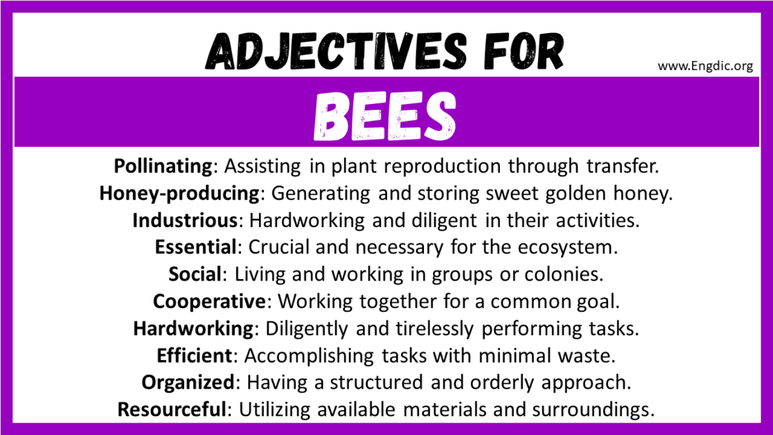 20+ Best Words to Describe Bees, Adjectives for Bees - EngDic