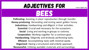 20+ Best Words to Describe Bees, Adjectives for Bees - EngDic