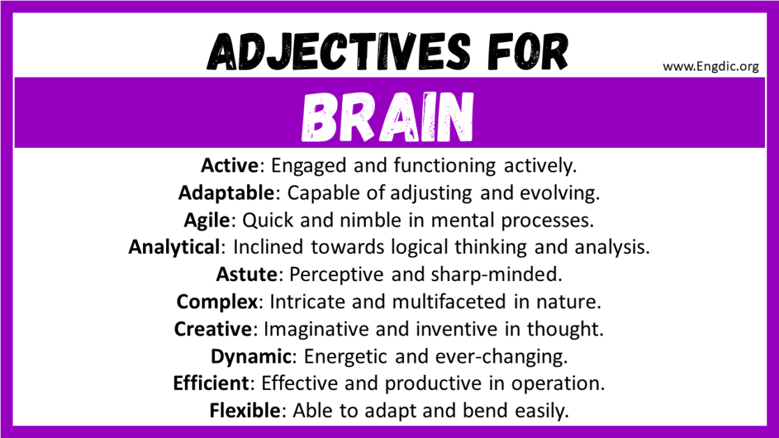 20+ Best Words to Describe Brain, Adjectives for Brain - EngDic
