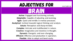 20+ Best Words to Describe Brain, Adjectives for Brain - EngDic