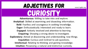 20+ Best Words to Describe Curiosity, Adjectives for Curiosity - EngDic