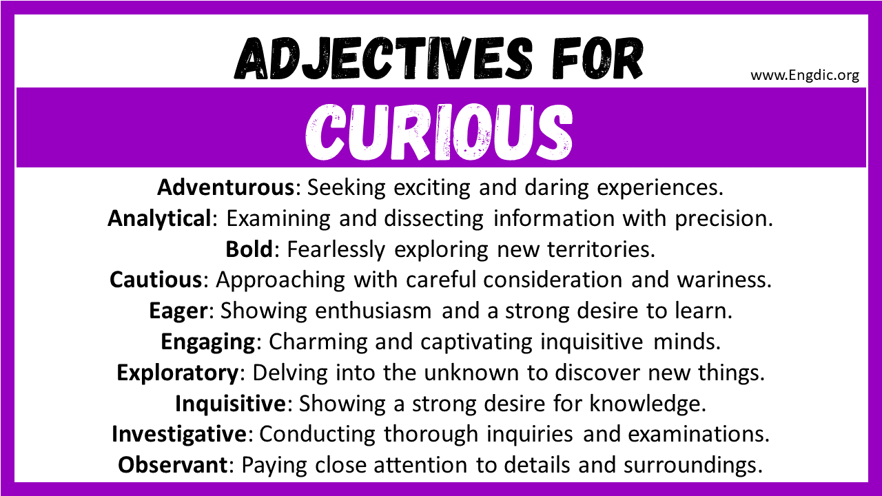 20+ Best Words to Describe Curious, Adjectives for Curious - EngDic
