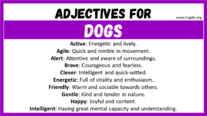 20+ Best Words to Describe Dogs, Adjectives for Dogs - EngDic